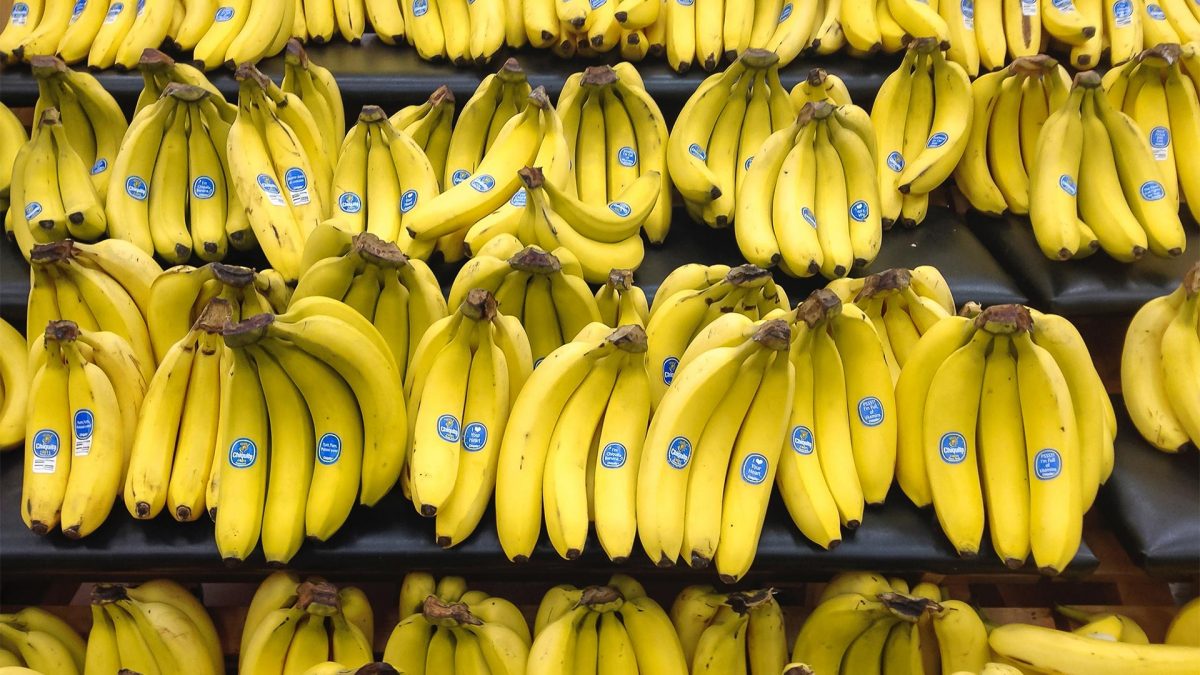 Unos $350 millones en divisas generará exportación de banano este 2021 ...