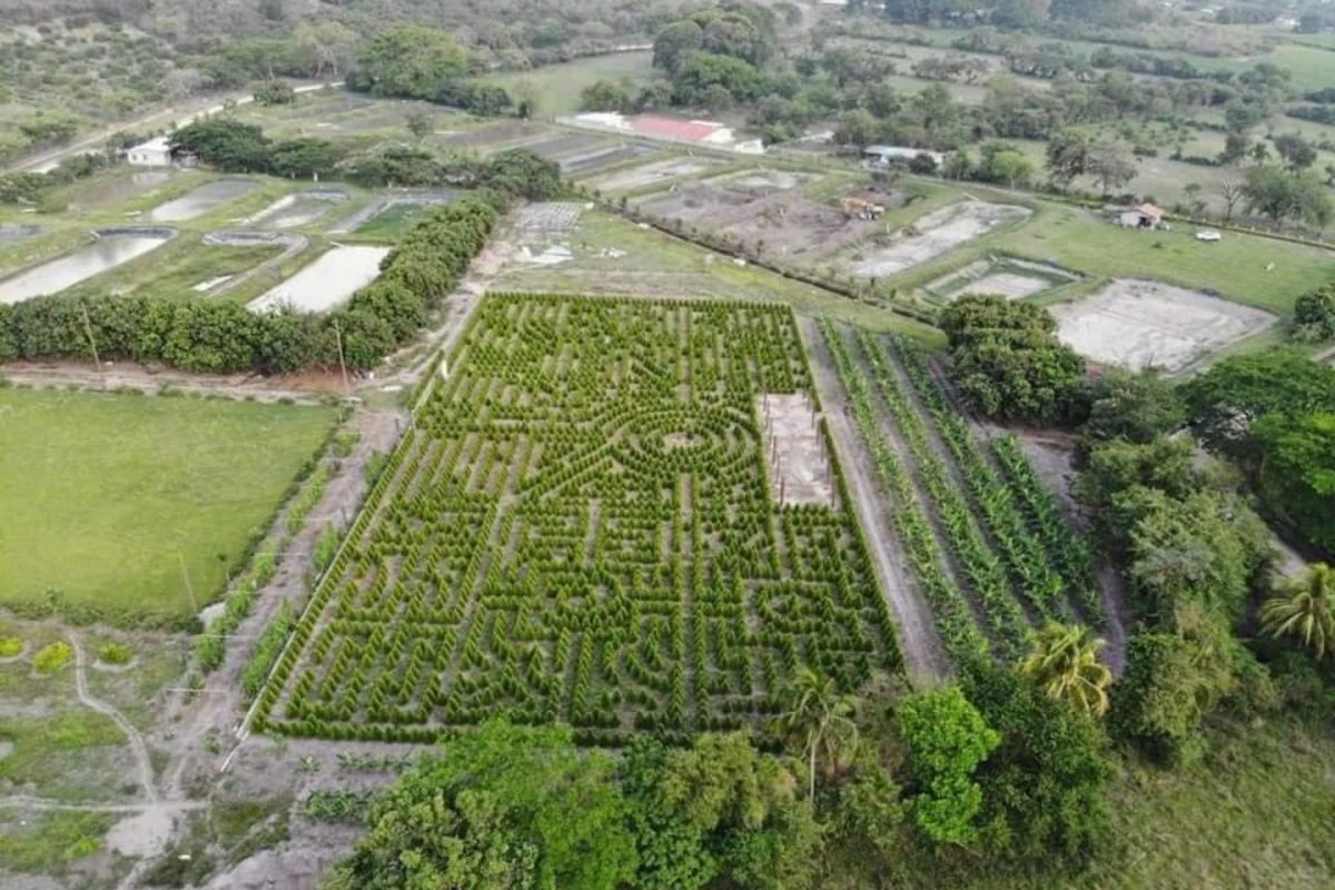 ¿Ya conoces el impresionante laberinto natural en Comayagua? – STN HONDURAS