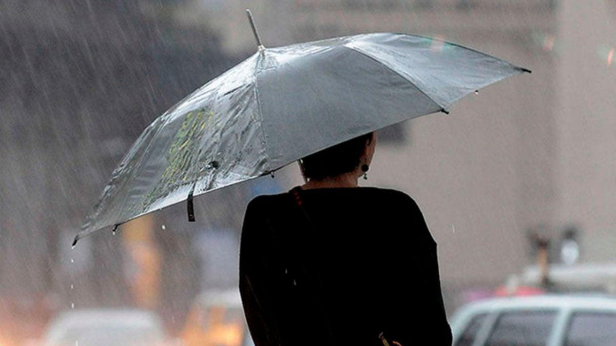 Recordando al pintor Moisés Becerra (1926 – 2018) – STN HONDURAS